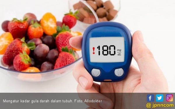 Bikin Resah, Turunkan Kolesterol Tinggi dengan 7 Buah Sehat Ini - Edisi ...